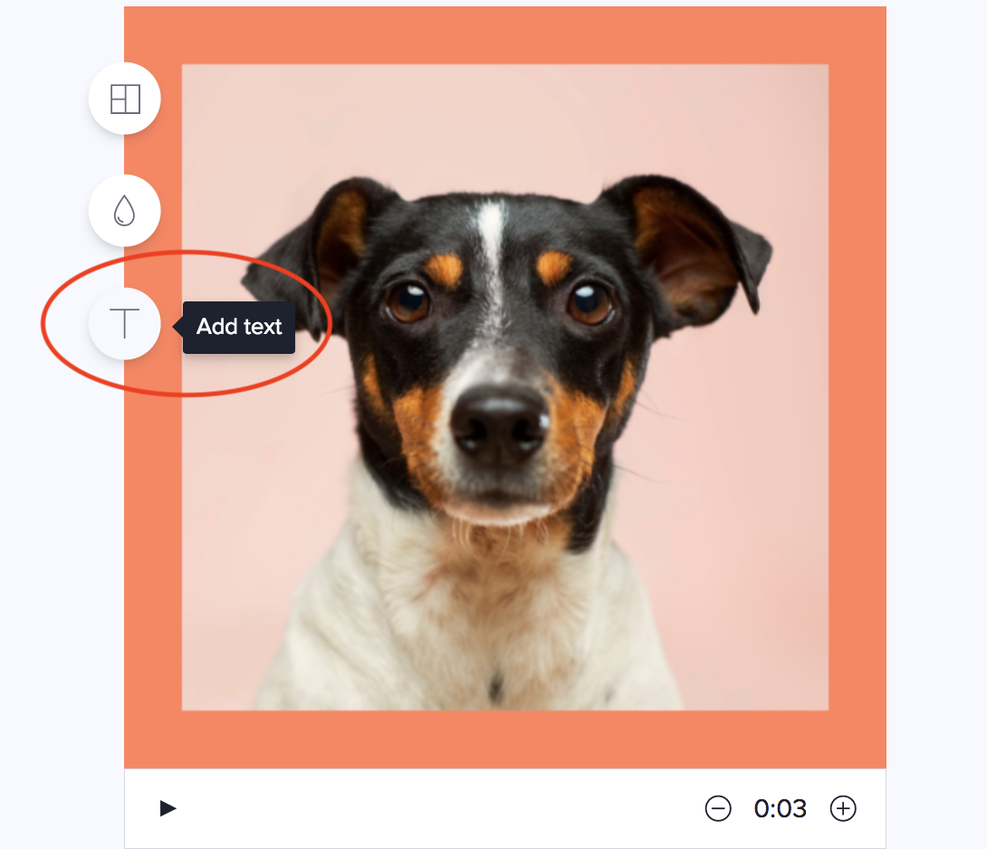 Add Text to your Project – Animoto Help